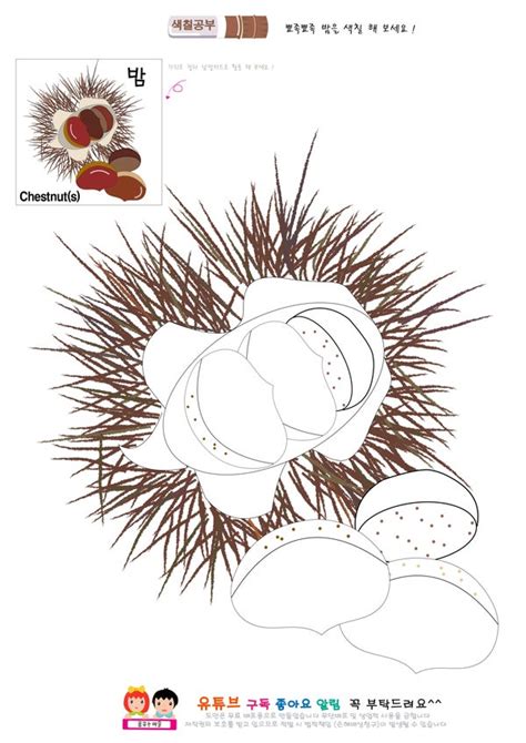 [색칠공부 무료도안]밤 밤송이 알밤색칠공부 밤송이색칠 밤색칠도안 밤송이도안 가을미술도안 가을색칠공부 알밤일러스트 Chestnut 밤송이색칠공부 밤송이그리기 먹는밤색칠공부