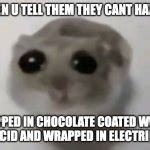 Sad Hamster Meme Generator Imgflip