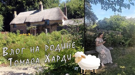 🐑 В гостях у Томаса Харди 🐑 КНИЖНЫЙ ВЛОГ Youtube
