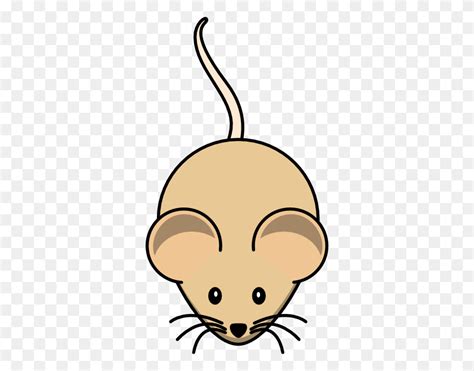 Mouse Short Tail Clip Art Angles Clipart Flyclipart