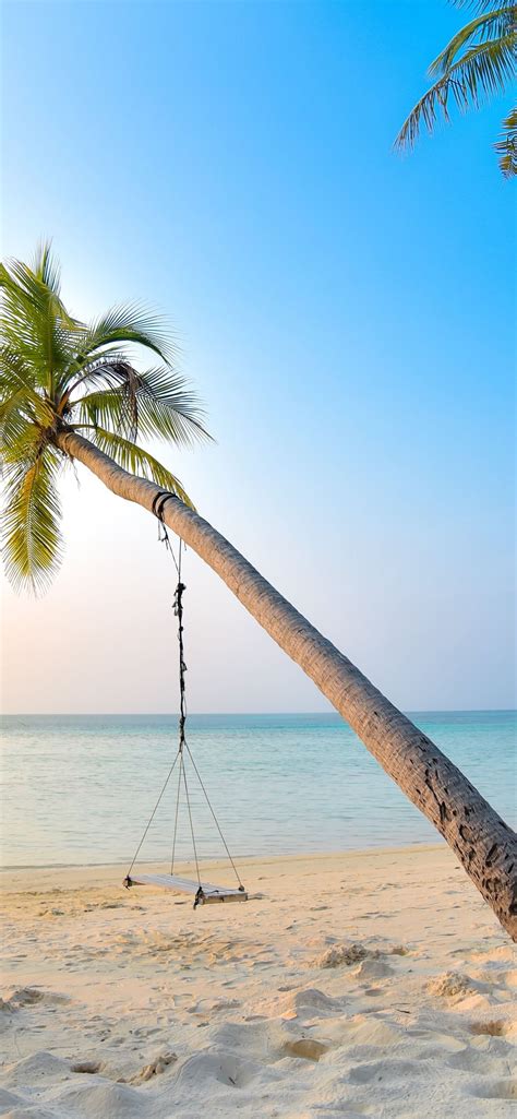 Coconut Beach Wallpapers Top Free Coconut Beach Backgrounds