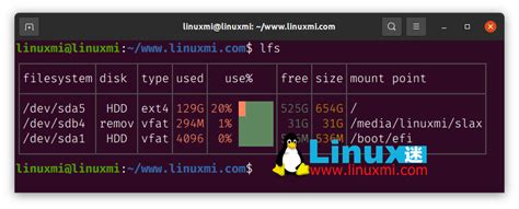 lfs 清晰美观的列出 linux 文件系统 linux迷