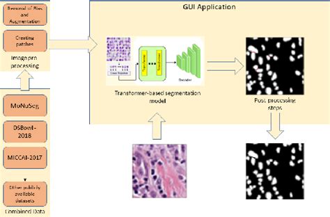 Figure 1 From Segmentation Of Nuclei Using Transformer Based Architecture Semantic Scholar