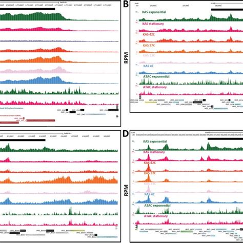 Coordination Between Chromatin Accessibility And Transcriptional