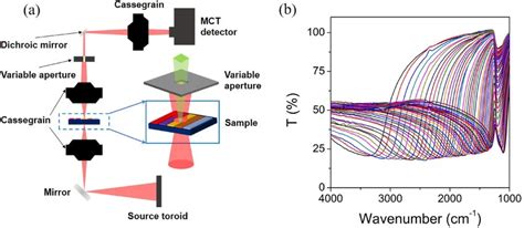 A A Schematic Diagram Of Ftir Microscope For The Measurement Of Ir Download Scientific