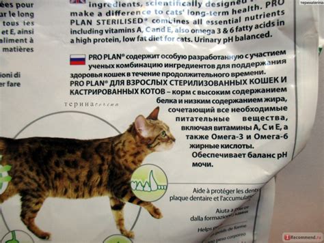 Корм ПроПлан для кошек: состав, обзор продуктовой линейки