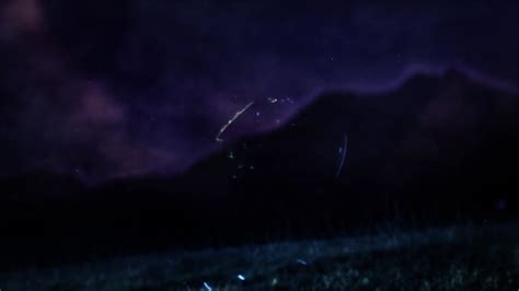 John Steele On Linkedin Softwaredevelopment Startups Entrepreneurs