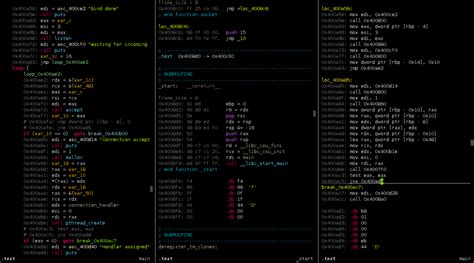 Plasma An Interactive Disassembler For X86armmips