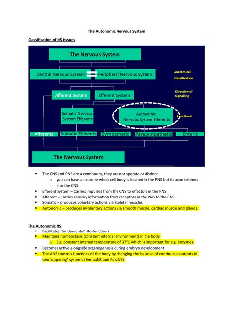 L12 Ans Lecture Notes 12 The Autonomic Nervous System Classification Of Ns Tissues The Cns