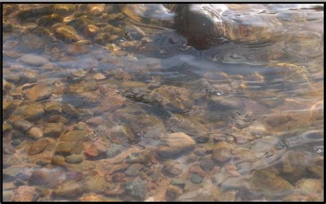 Pebbles By Princesssuzie On Deviantart