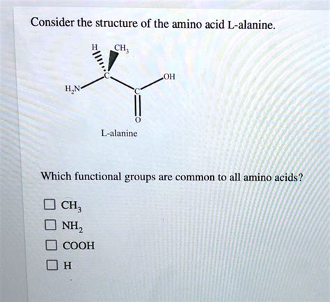 Solved Consider The Structure Of The Amino Acid L Alanine Ch Oh L