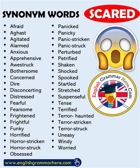 Synonym Words Scared English Vocabulary English Grammar Here