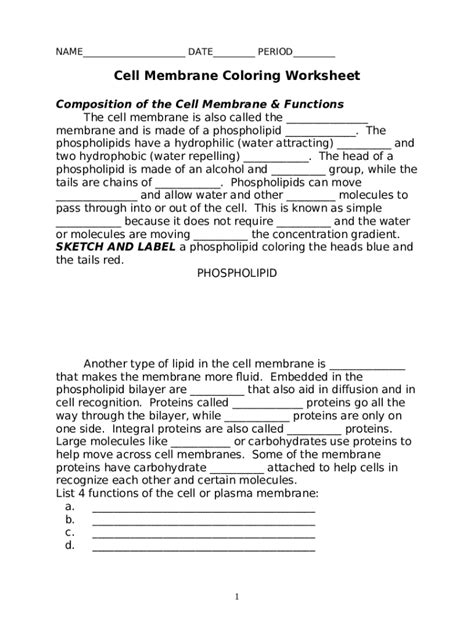 Cell Membrane Coloring Worksheet Doc Template Pdffiller