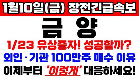 금양 주가전망 🚨110금 장전긴급속보🚨 123 유증 성공할까 외인·기관 100만주 매수 이유 그 의도와 비밀 이제부터 이렇게 대응하세요 재료 임박