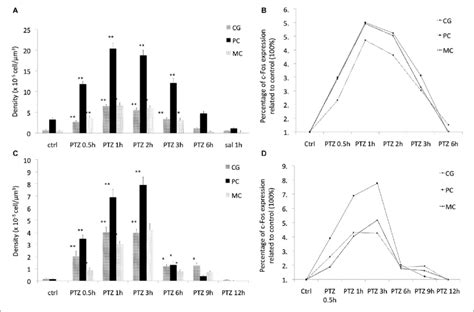 The Expression Pattern Of C Fos In Rats And Marmosets A The Download Scientific Diagram