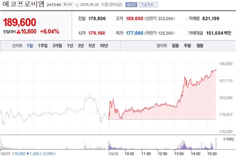 에코프로비엠 주가 전망 분석