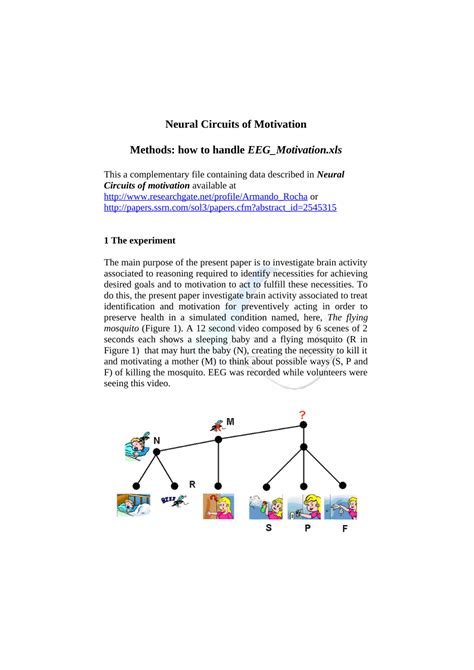 PDF Eeg Book