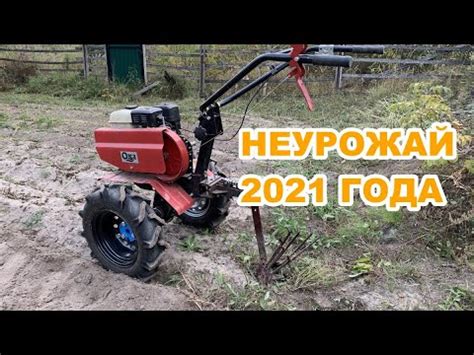 Мотоблок Ока, шины Кама 421 6х12, веерная картофелекопалка. Картошка ...