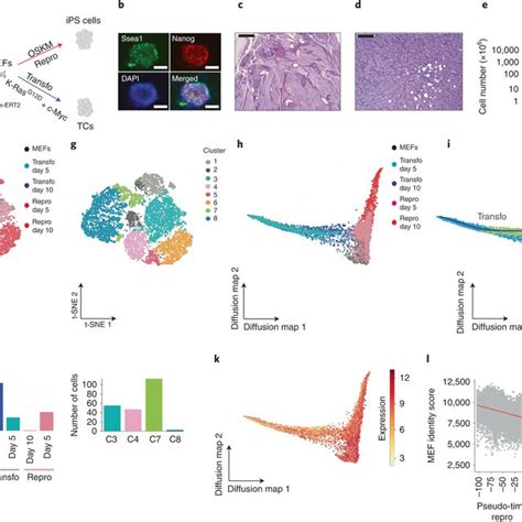 Comparing Single Cell Trajectories Of Reprogramming And Download Scientific Diagram
