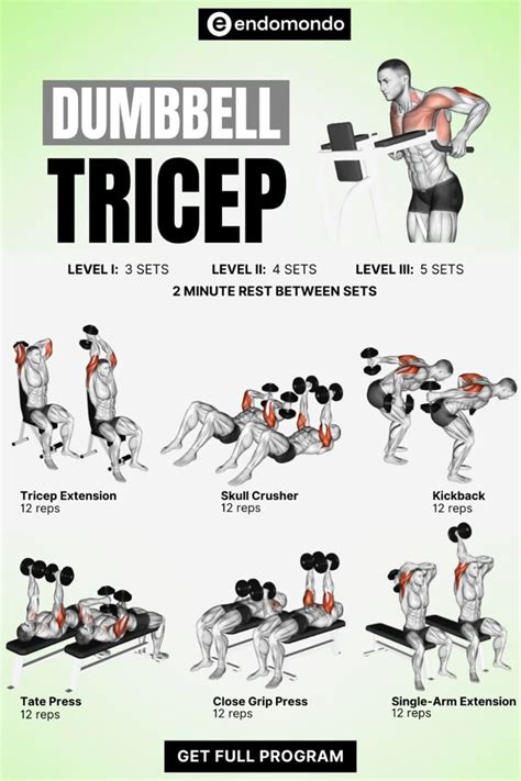 Define Your Arms Dumbbell Triceps Workout For Strength Tricep