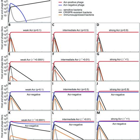 Fig S1 Evolutionary And Population Dynamics Following Infection Of Download Scientific