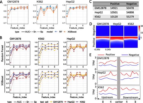 Performance Of The Model A The Performance Of The Model Trained And Download Scientific