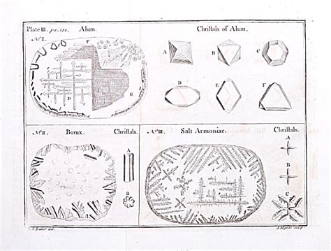 How To Make Wax Sealed Microscope Slide Preparations
