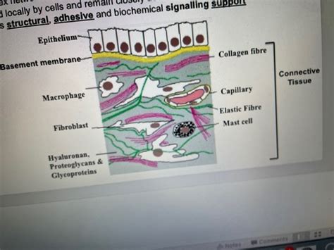 Ecm Flashcards Quizlet