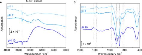 Difference Spectra Of Clean C−s−h Phases After 2 H Of Contact With