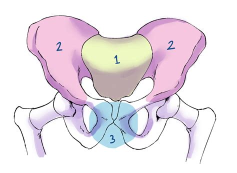 How To Draw Female Body Poses Pendarvis Stideass