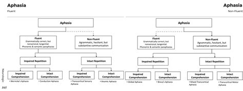 Causes Of Aphasia Differential Diagnosis Algorithm Fluent Grepmed