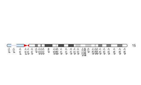 Chromosomeplot Plot Chromosome Ideogram With G Banding Pattern Matlab