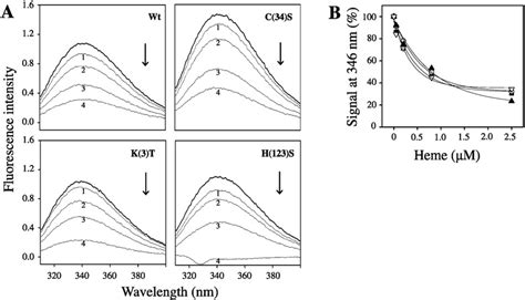Heme Induced Tryptophan Fluorescence Quenching In The Four