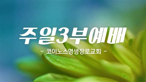 코이노스영생교회 주일 3부예배 2024 2 04 믿음으로 힘써 지키자 차유진 목사 예배실황 Official Youtube