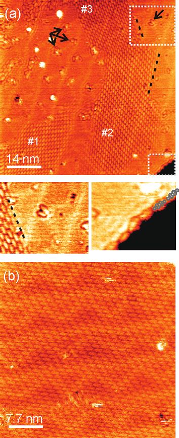 Constant Current Stm Images Taken At Room Temperature Of A Dip Film