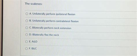 Solved The Scalenes A ﻿unilaterally Perform Ipsilateral