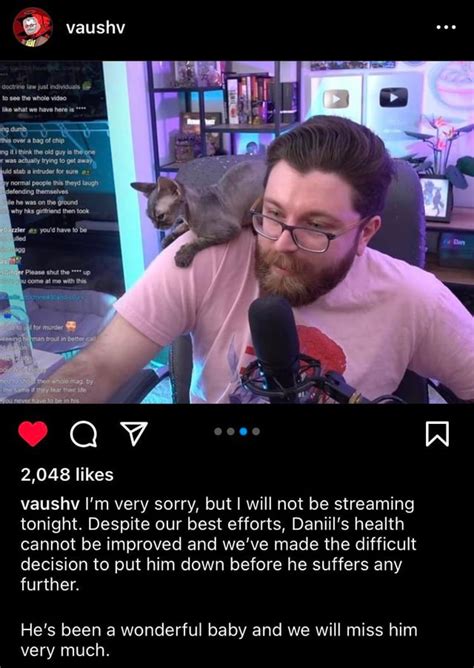 Brothers Vaush Is Tragically Having To Put Down His Cat Daniil This