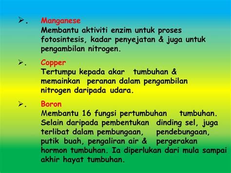 Fertilizer Elements Ppt