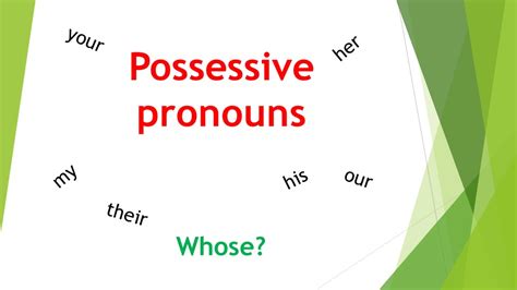 Презентация по английскому языку на тему Притяжательные местоимения 2 3 класс 📚 Учебники