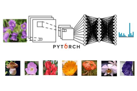 My Experience And What I Learned From Udacity Ai Programming With Python Nano Degree Part 2