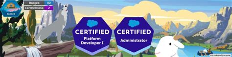 Mahesh Reddy Salesforce Developer First Command Financial Services