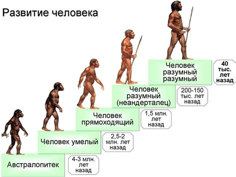 Древние люди и их стоянки на территории современной России Урок 2