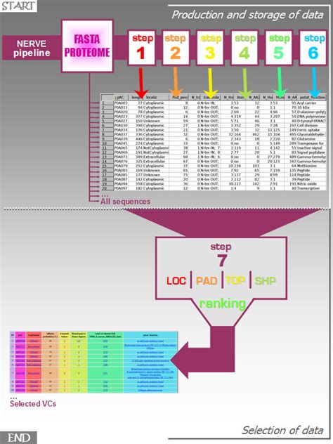 Nerve Software Pipeline The Process Can Be Divided Into Two Parts Download Scientific Diagram