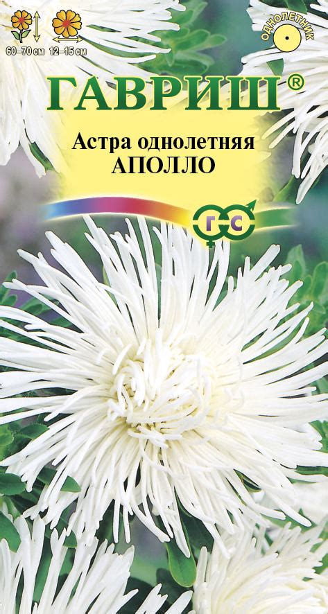 ЦВЕТЫ: АСТРЫ