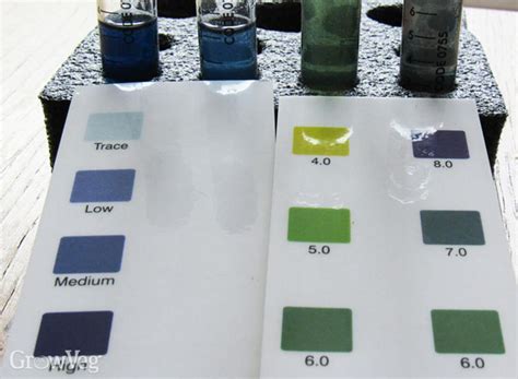 Plan Your Best Garden Ever Testing Soil And Seeds