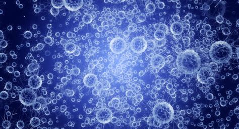 Bacteria Science And Microbe In Animation By Blue Background With 3d