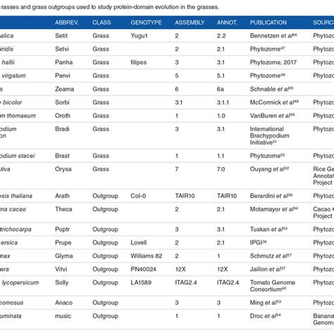 Grasses And Grass Outgroups Used To Study Protein Domain Evolution In