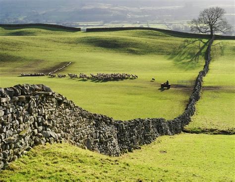 The Queens English On Instagram “dry Stone Walls Yorkshire Dales