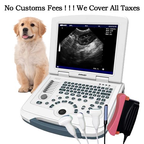 Jual Veterinary Ultrasound Machine Portable Laptop Pregnancy Scanner Probes B Bb 4b B M M