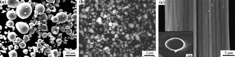 The Sem Microstructures Of The Raw Materials A 2024al Powders B Zrc